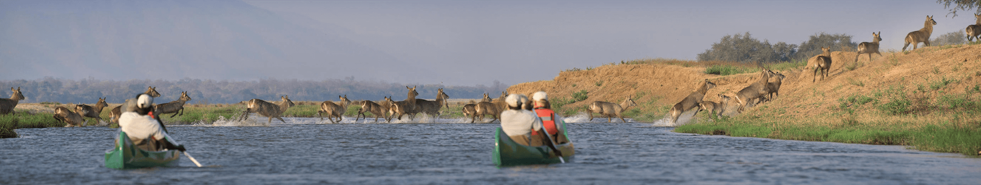 The Many Faces of Mana Pools