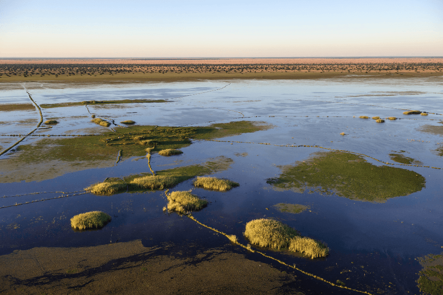 Bangweulu Wetlands